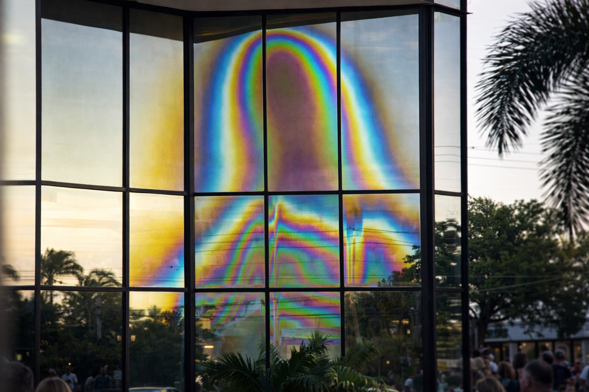 She Appeared Overnight: The Mystery of the Virgin Mary of Clearwater